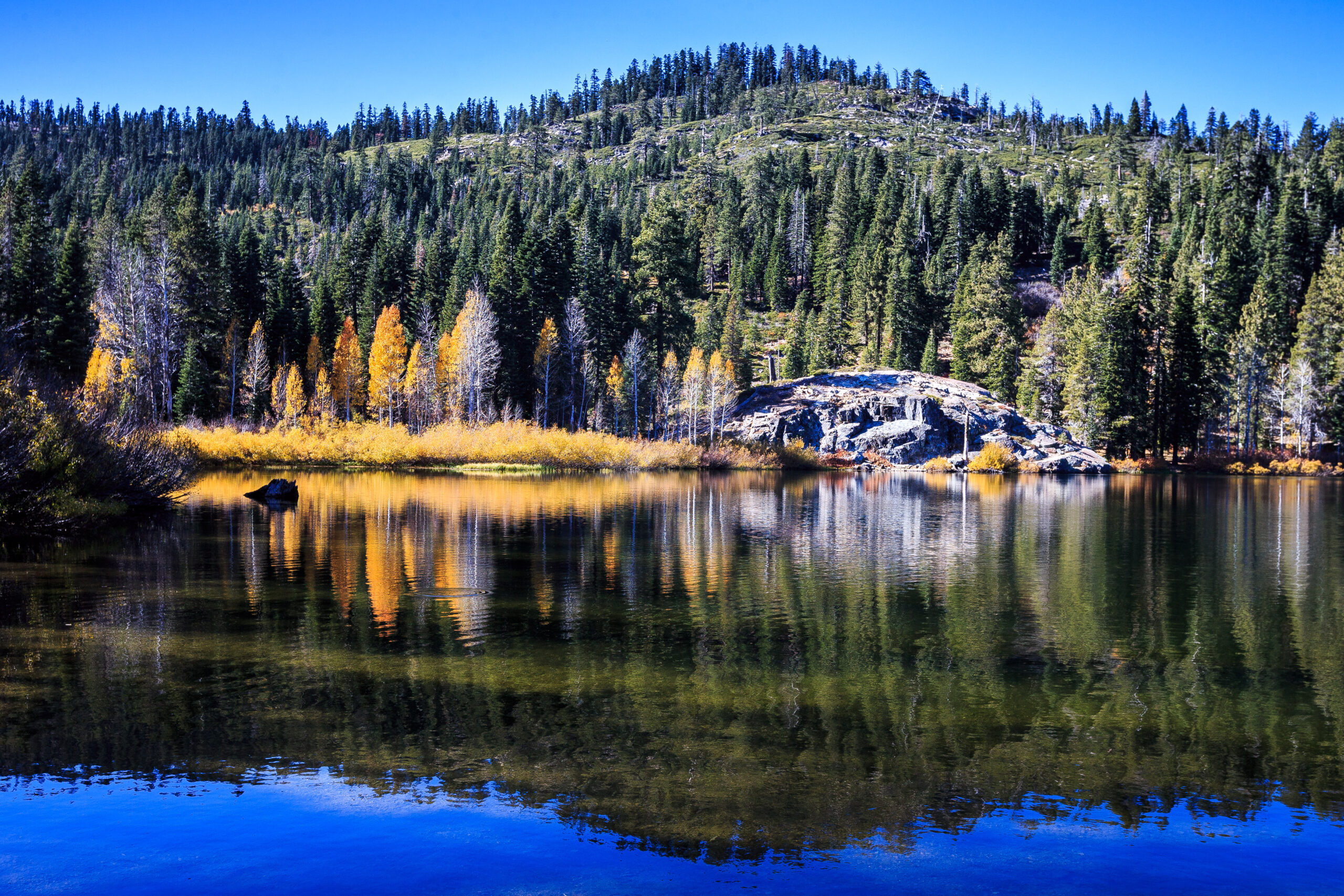 Gold Lake Highway, California